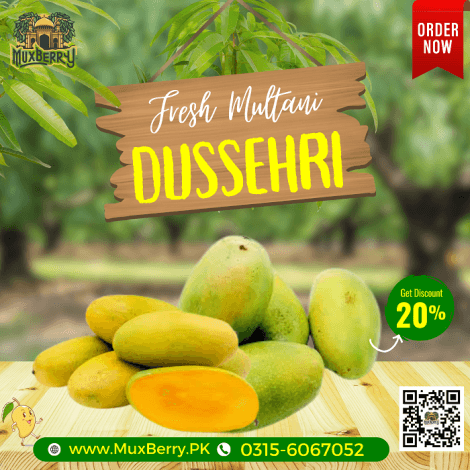 Different Mango Varieties In Pakistan - MuxBerry.Pk