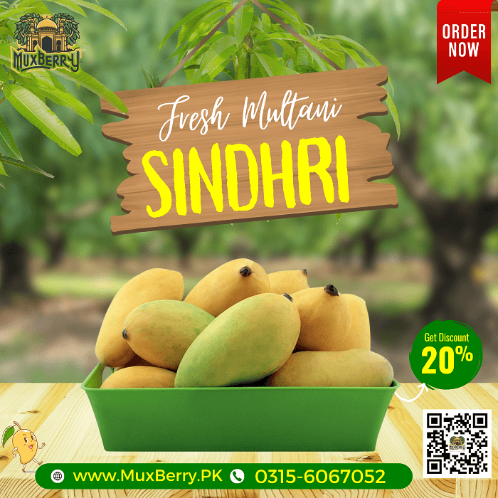 Buy Multani Sindhri Mangoes Online | Free Home Delivery