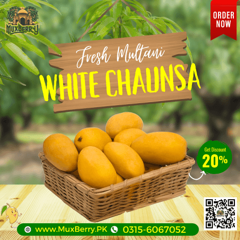 Different Mango Varieties In Pakistan - MuxBerry.Pk
